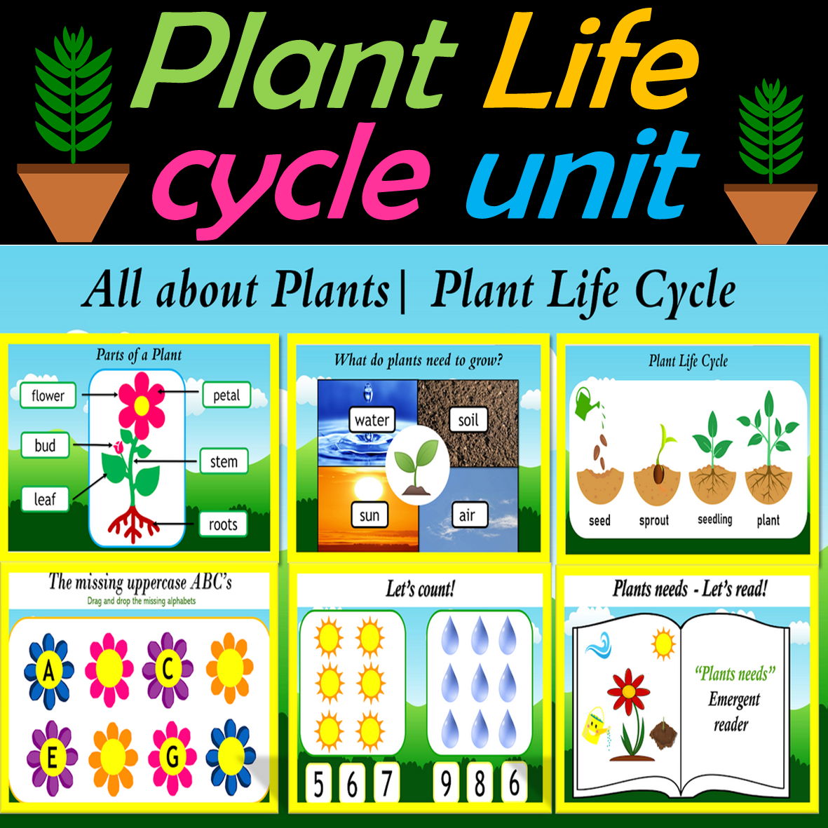 Plant Life Cycle Poster