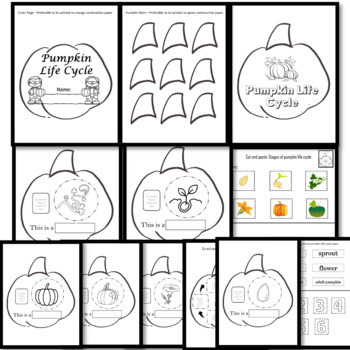 Pumpkin Craft Booklet: Pumpkin Life Cycle | Pumpkin Activities| Pumpkin ...