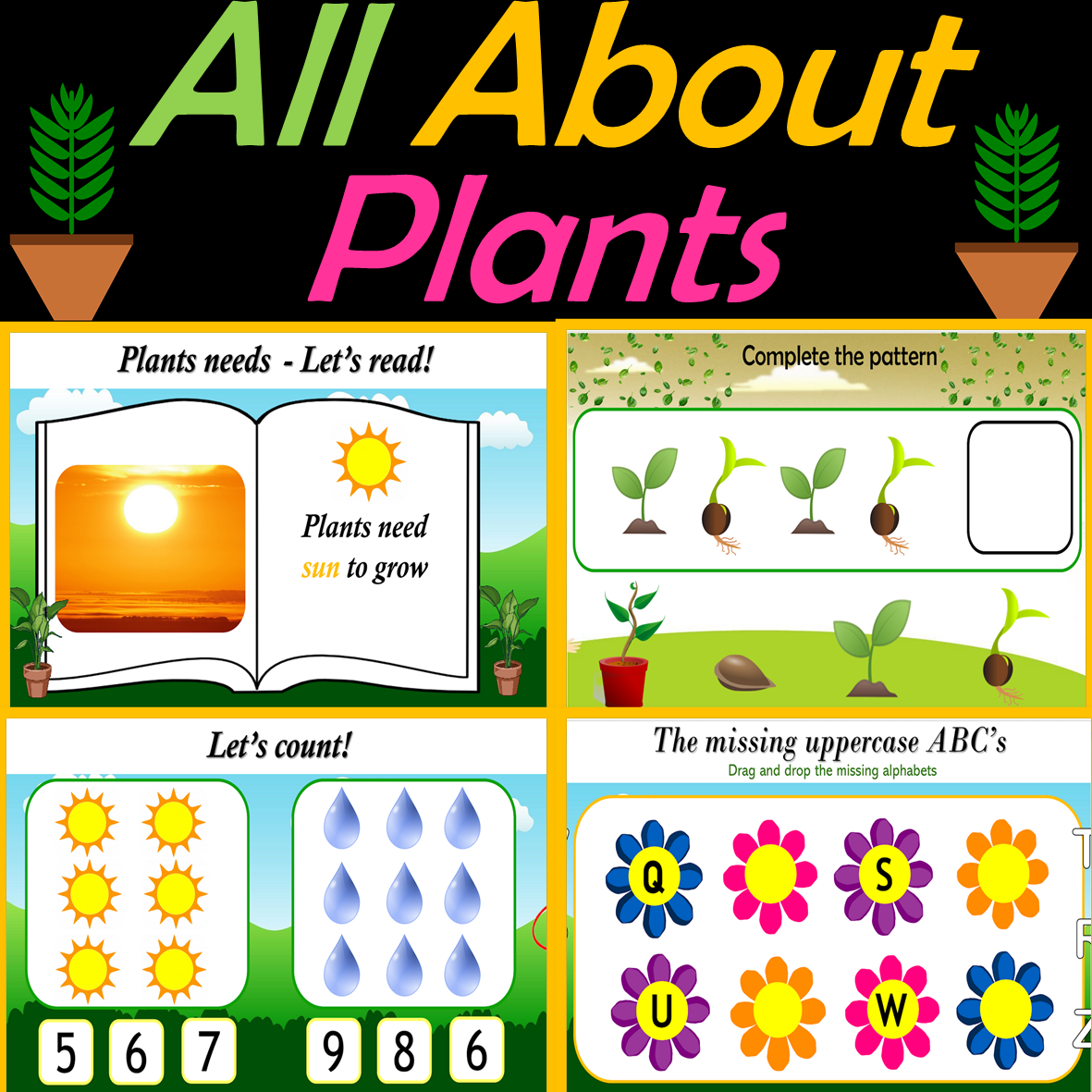 Plant Life Cycle Poster