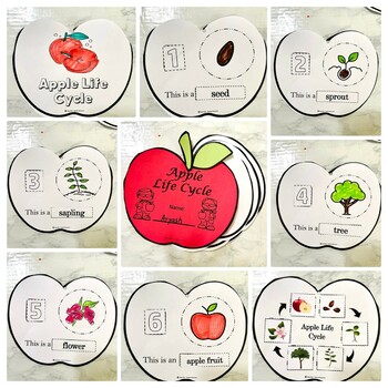 Zippi Kids | Hands-on crafts for kids of preschool and Kindergarten