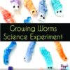 Tissue paper Growing worms experiment - Zippi Kids